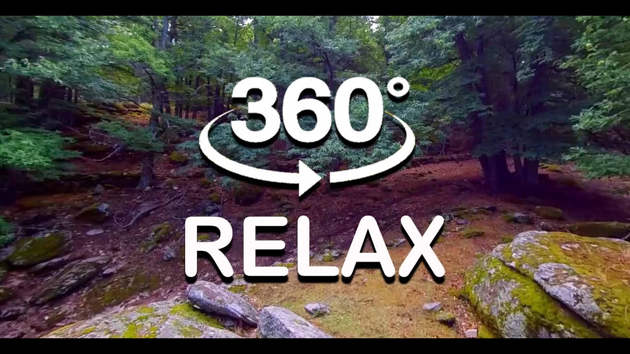 Video of relaxation in 360º. Nature sounds. OCULUS QUEST 2. New room ...