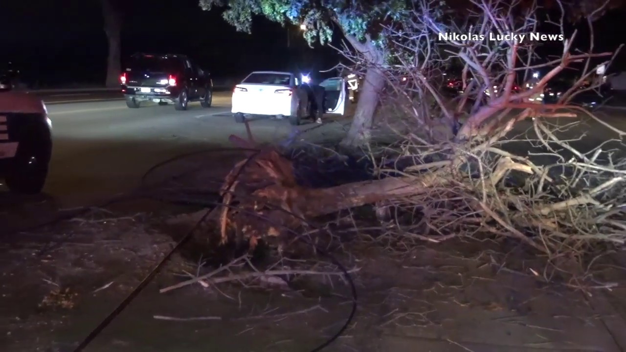 Car vs Tree / Oxnard CA - YouTube