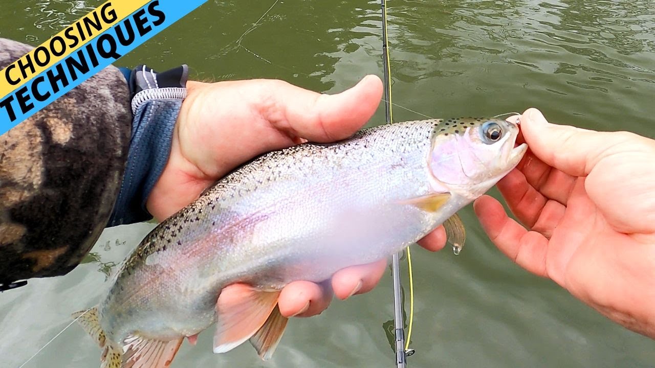 HOW-TO: Catch A LOT More Trout By Finding Exactly The Right Fly ...