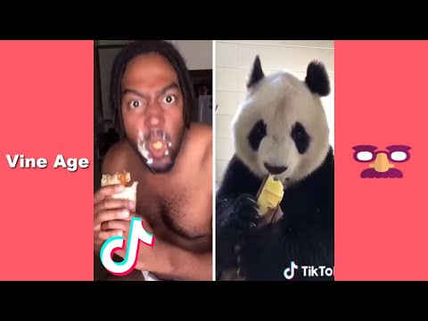 Marlon Webb Funny TIK TOK Video | Try Not To Laugh Marlon Webb Tik Tok - Vine Age ✔