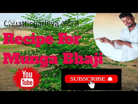 #youtube vedio#vlog vedio#recipe for munga bhaji#munga bhaji banane ka ...