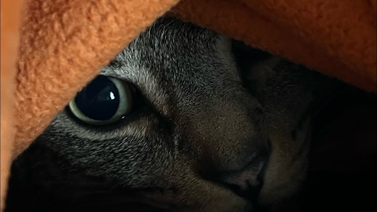 Ranking every BFB character - YouTube