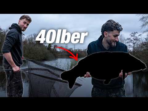 MY BEST CARP SESSION EVER - 40LB UK CARP!