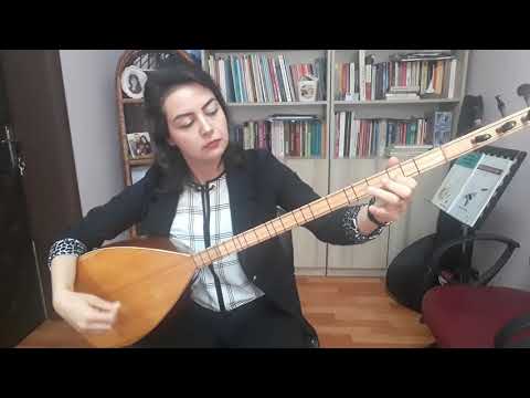 Sevilay GÖK - Azeri Oyun Havası