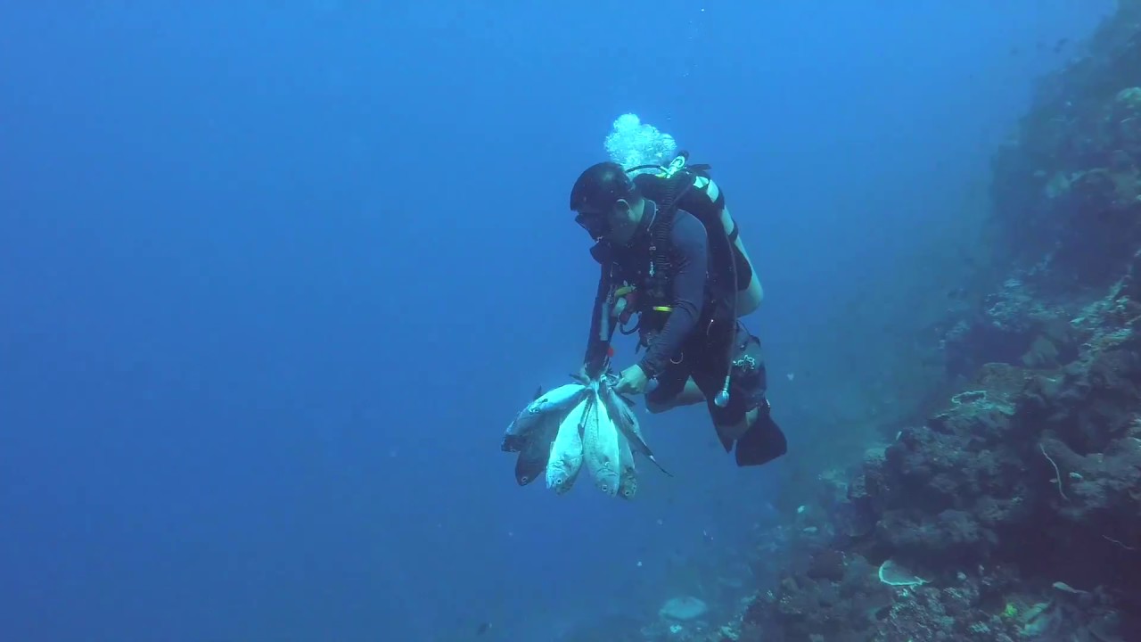 Blast Fishing Aftermath - YouTube