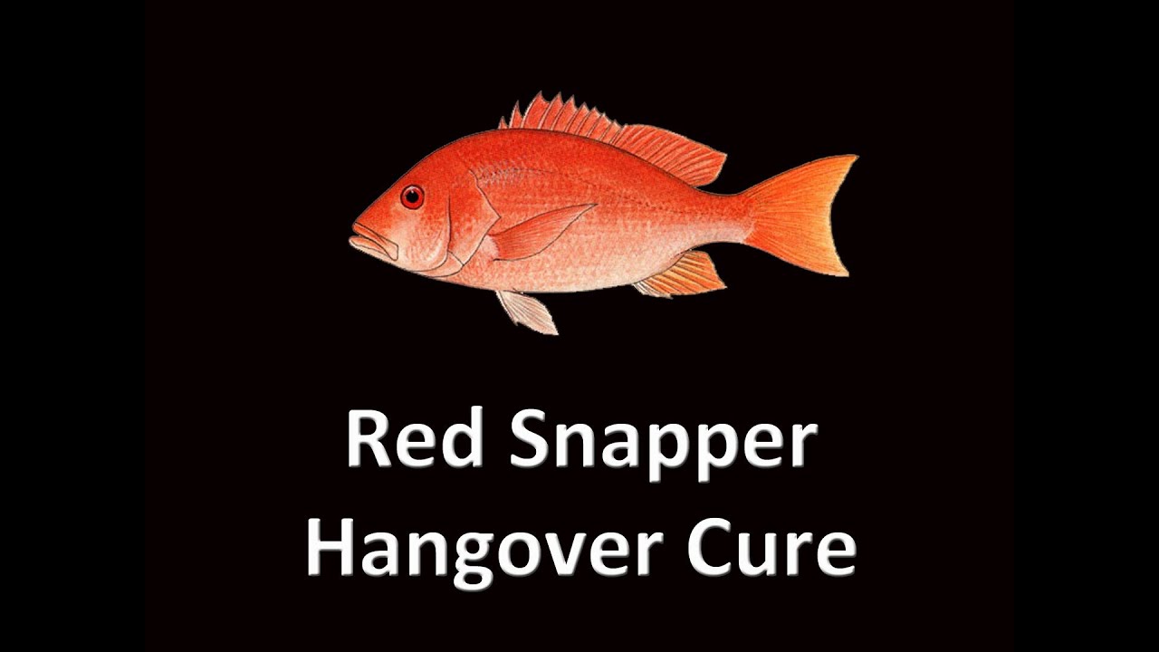 New Years Eve Red Snapper Hangover Cure From Canada - YouTube