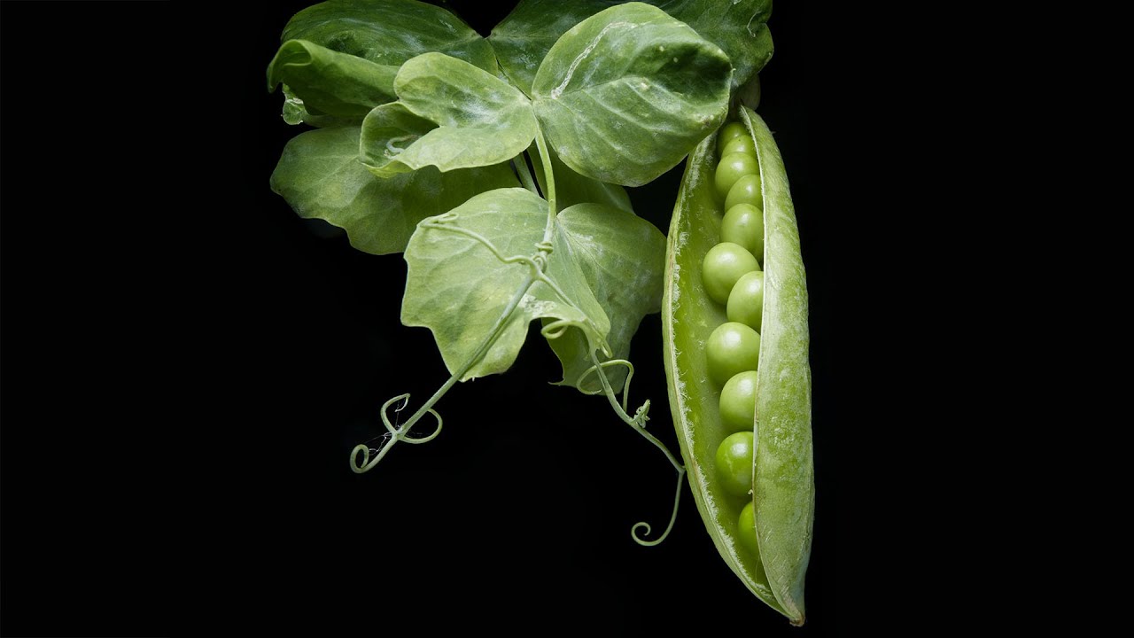 Sharp wide-angle photography - YouTube