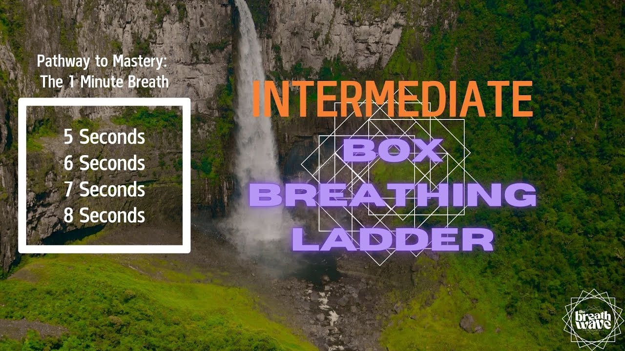 Box Breathing Ladder | Intermediate | 1 Minute Breath Mastery Series ...