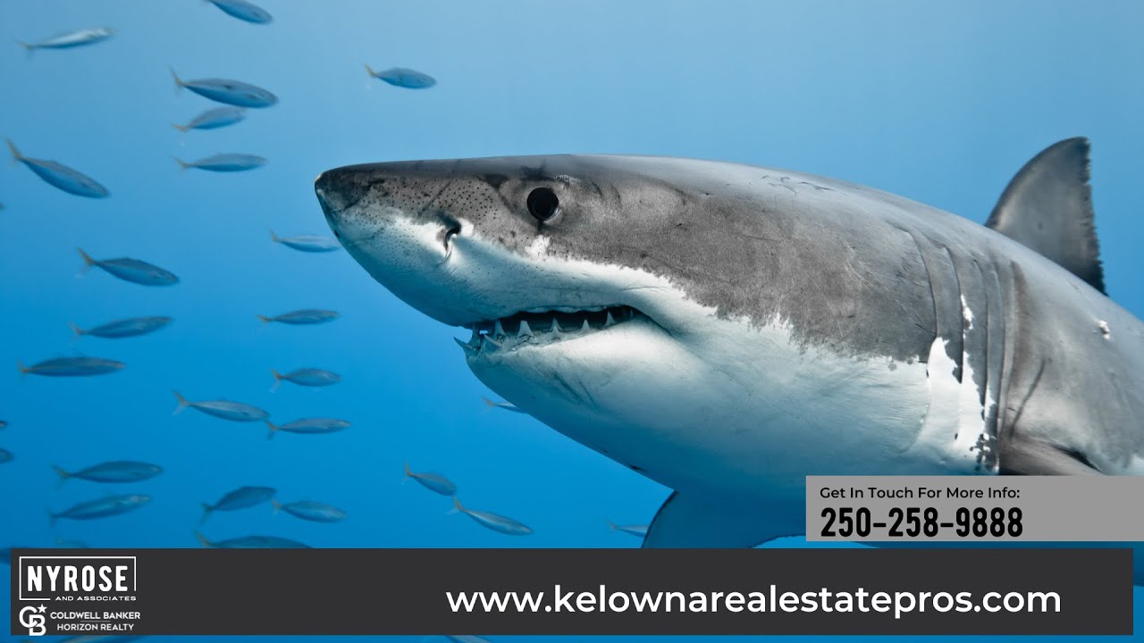 Kelowna Real Estate Market Stats Here s What Happened In July 2022 kelowna-real-estate-market-stats-here-s-what-happened-in-july-2022