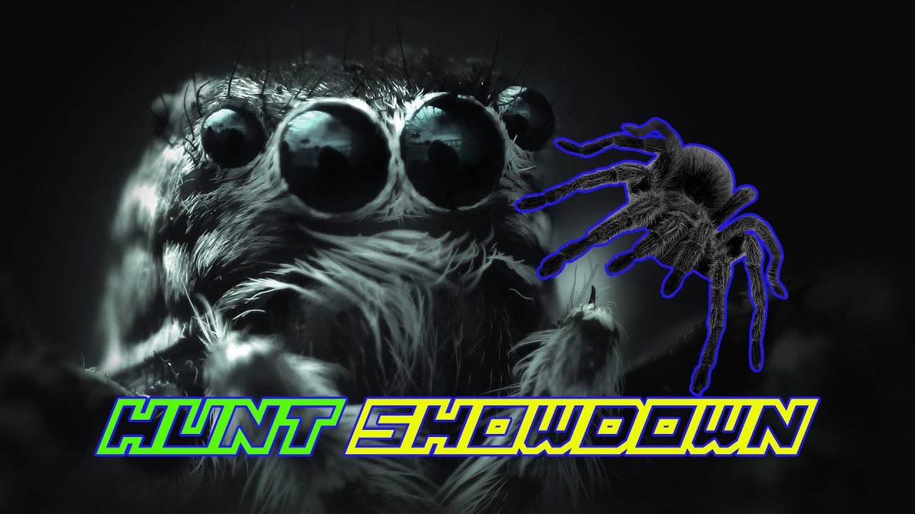 Hunt Showdown Spider Fight - YouTube
