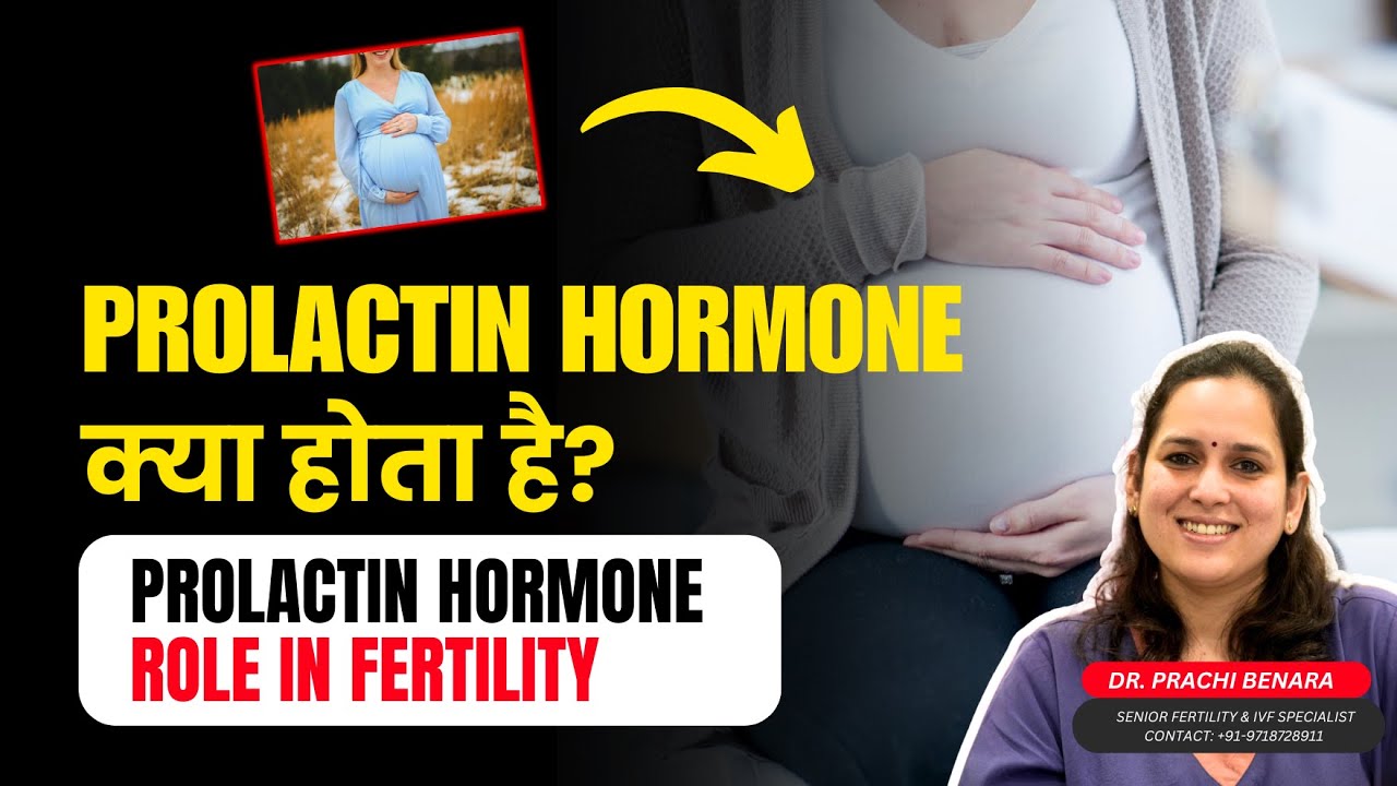 Prolactin Hormone क्या होता है? | Prolactin Hormone Role in Fertility ...