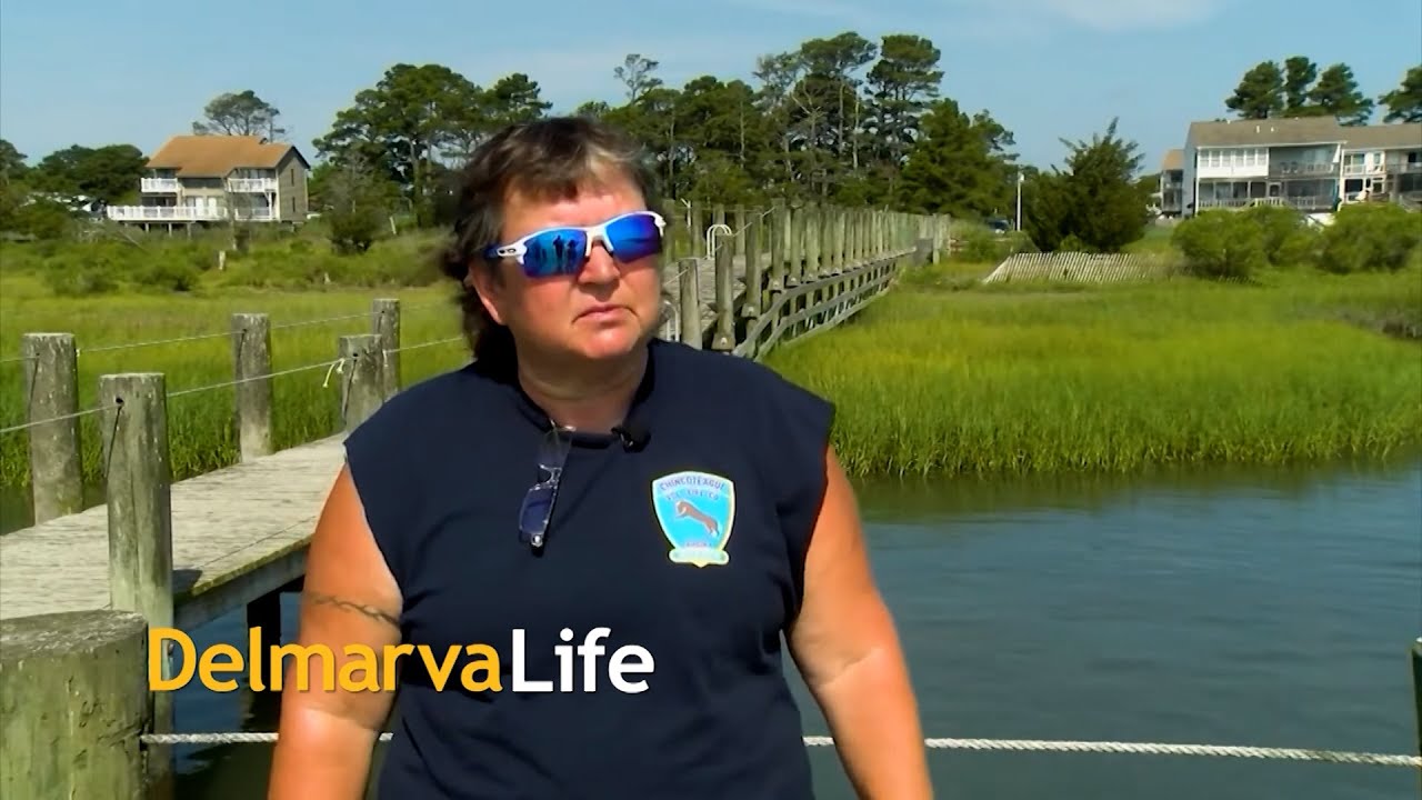 We're Catching Up with the Mayor of Chincoteague, Denise Bowden - YouTube