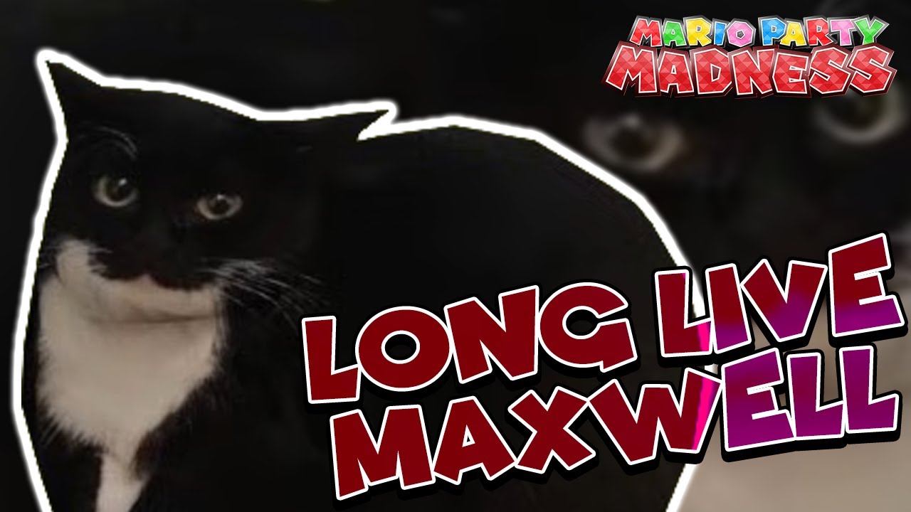 "My Quest for Multiversal Domination" - MAXWELL'S LAST STAND - MARIO ...