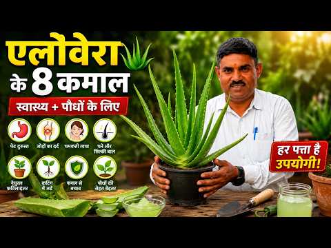 Aloe Vera के 8 चमत्कार जीवन को बना देंगे आसान || 8 Secret Benefits of Aloe Vera