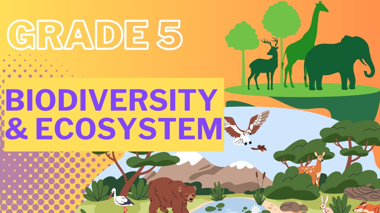 Grade 5 Exploring Biodiversity and Ecosystems - YouTube