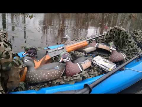 "The Swamp" Wood Duck hunt! - YouTube