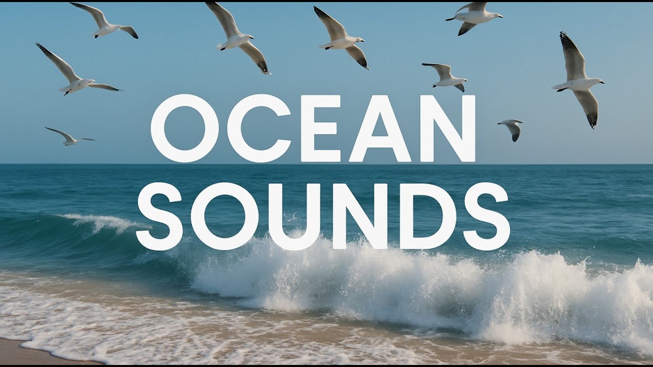 Seagull Sounds & Wave Sounds | 10 Hours of Peaceful Sea Sounds | Stress ...