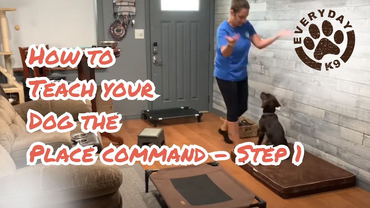 How to teach your dog the place command STEP 1 - YouTube