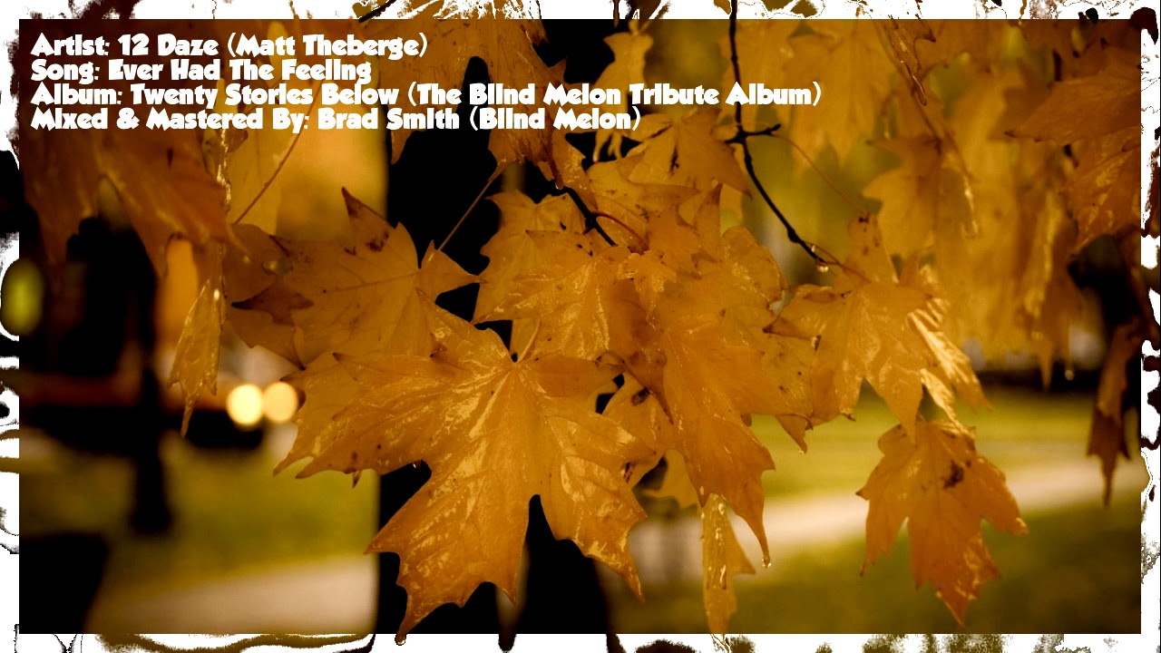 12 Daze (Matt Theberge) - Ever Had The Feeling (Blind Melon Cover ...