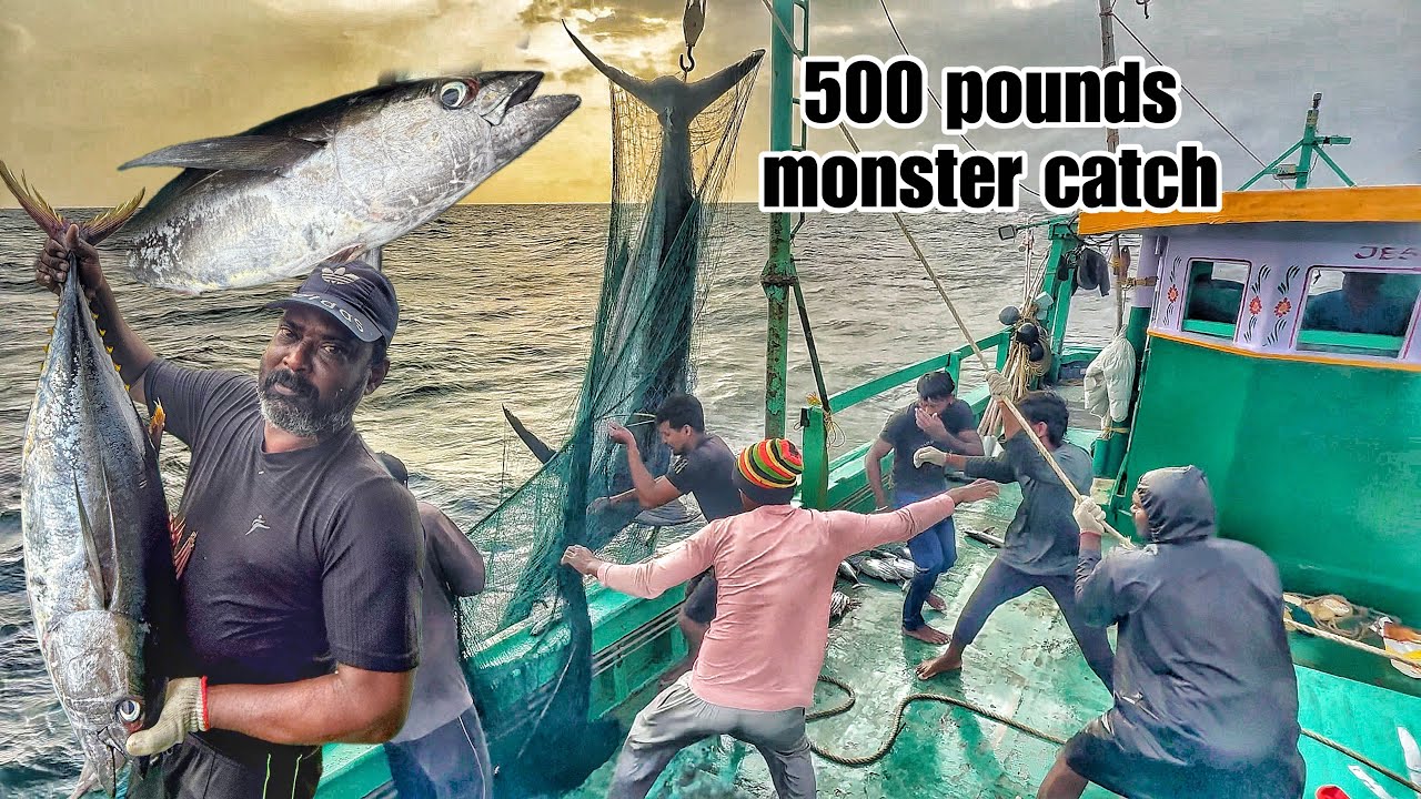 “Monster Fish Attack! Biggest Catch of My Life !! We Stayed In ...