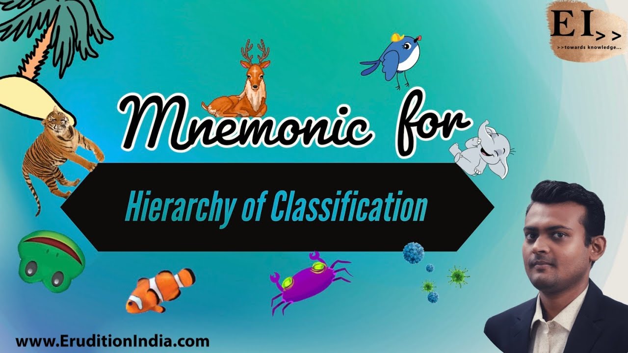 Mnemonic for Hierarchy of Classification - YouTube