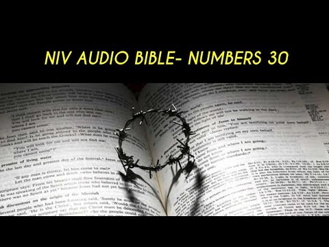 NUMBERS 30 NIV AUDIO BIBLE (with text) - YouTube