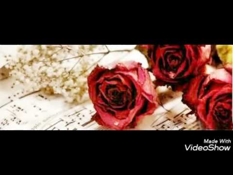 AYA- (YENİ SES)  GÜL BAKIŞLIM