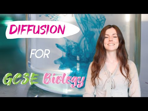 DIFFUSION GCSE Biology 9-1 | Combined Sci (Revision & Questions)