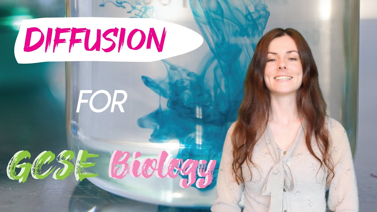 DIFFUSION GCSE Biology 9-1 | Combined Sci (Revision & Questions) - YouTube