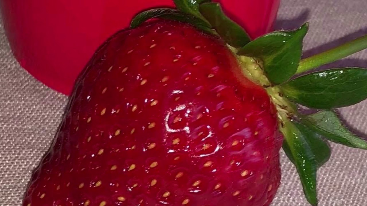 How to Multiply Strawberry Plants. - YouTube