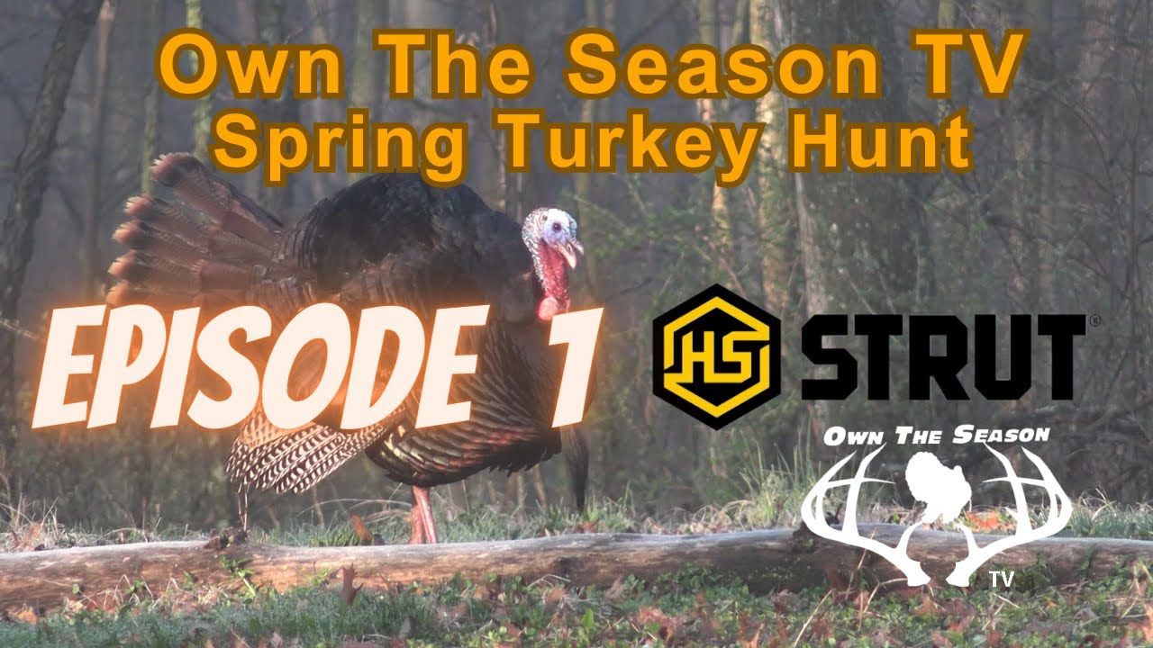 Spring Turkey With a Bow in Wisconsin - Own The Season TV - YouTube