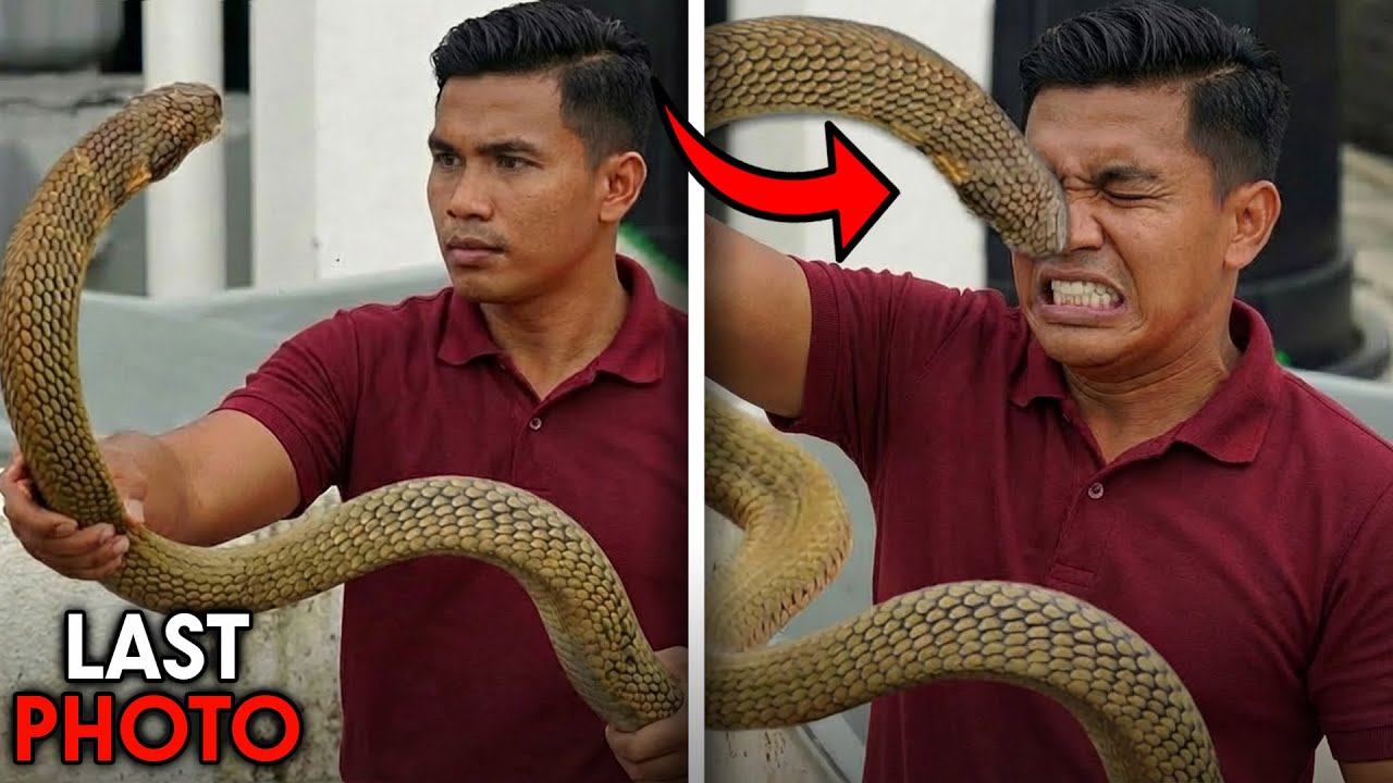 The Most HORRIFYING Snake Attacks Ever Recorded On Camera! - YouTube