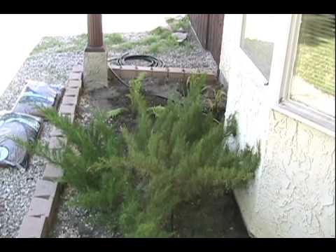 Make-shift Drip Irrigation Project -Pt 6- Plugging Drip Line - YouTube