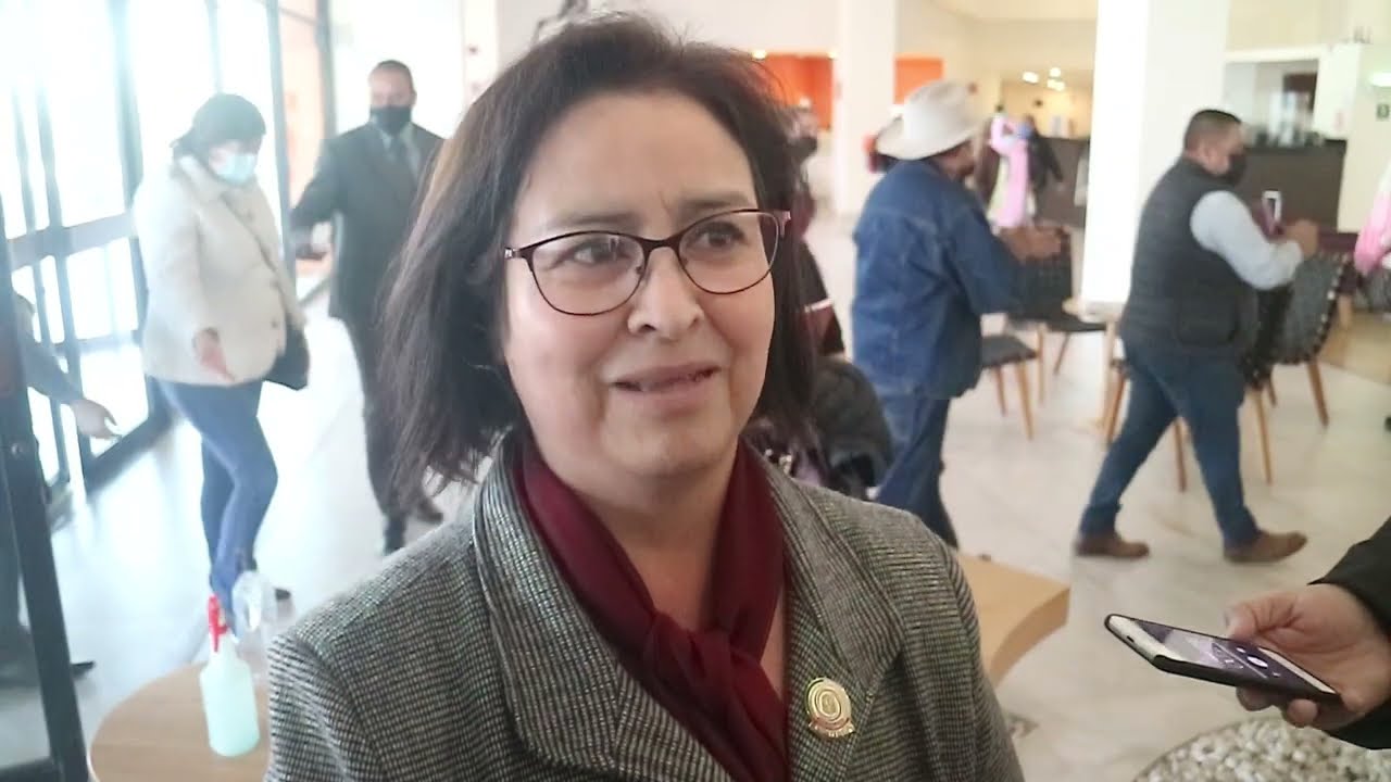 Dip. Rocio Adame: No hay dos Morenas en Baja California - YouTube