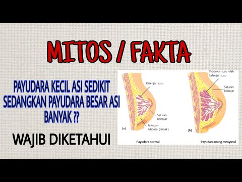 PAYUDARA KECIL ASINYA SEDIKIT SEDANGKAN PAYUDARA  BESAR ASINYA BANYAK? MITOS/FAKTA?