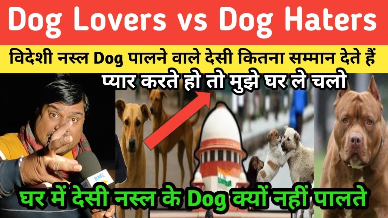 Dog Lovers vs Dog Haters विदेशी नस्ल Dog के पालने वाले देसी नस्ल Dog ...