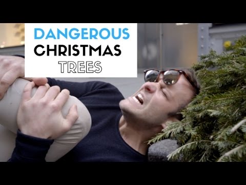 Christmas Tree MADNESS - YouTube