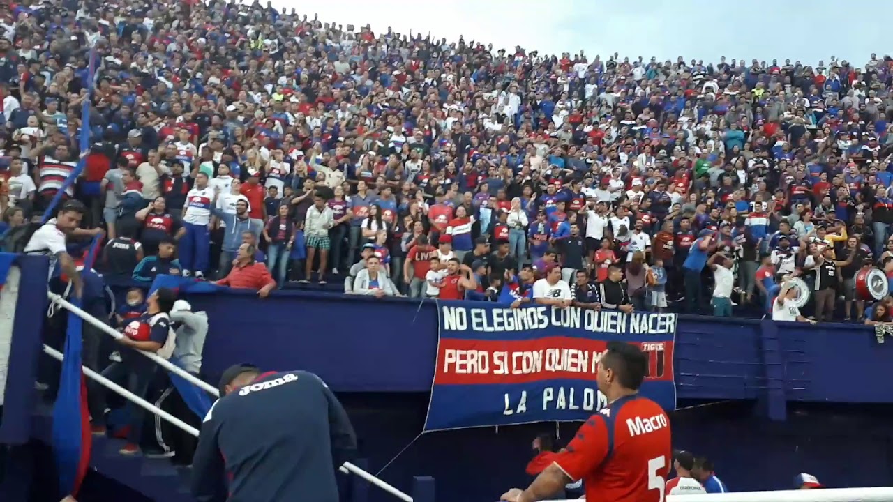 Tigre El Matador - Dale Matador! - YouTube