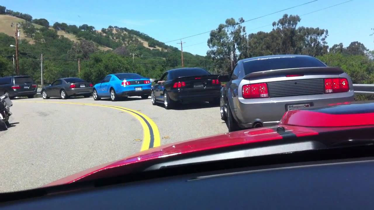 mid valley stangs - mule run 5 - YouTube