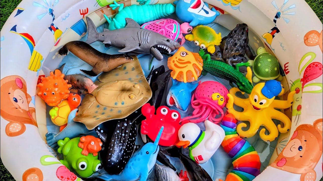 Ocean Creatures Playtime Learning for Kids & Preschoolers | Fun & Cute ...