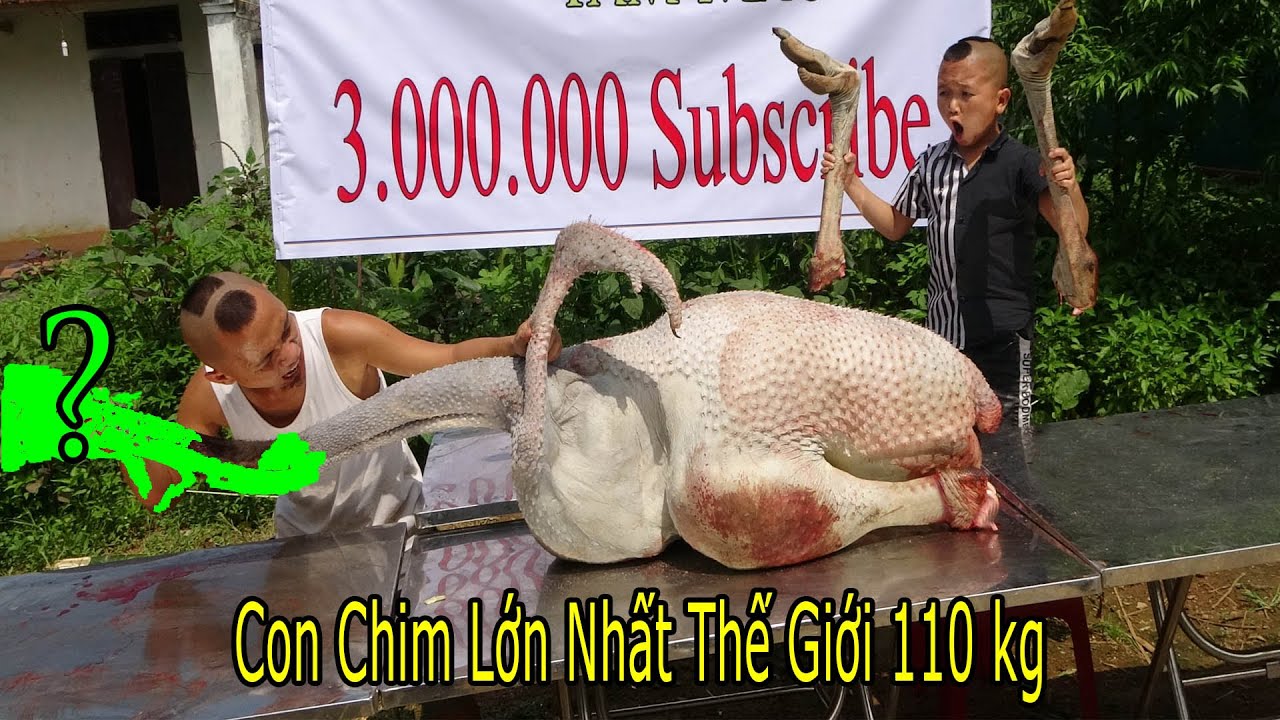 Ăn Mừng 3.000.000 Sub ( Celebrating 3 Million Subscribers! ) - YouTube