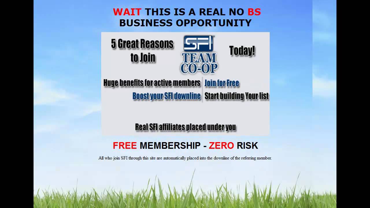 SFI Team Co-op Start your own Online Marketing Business with no Risk ...