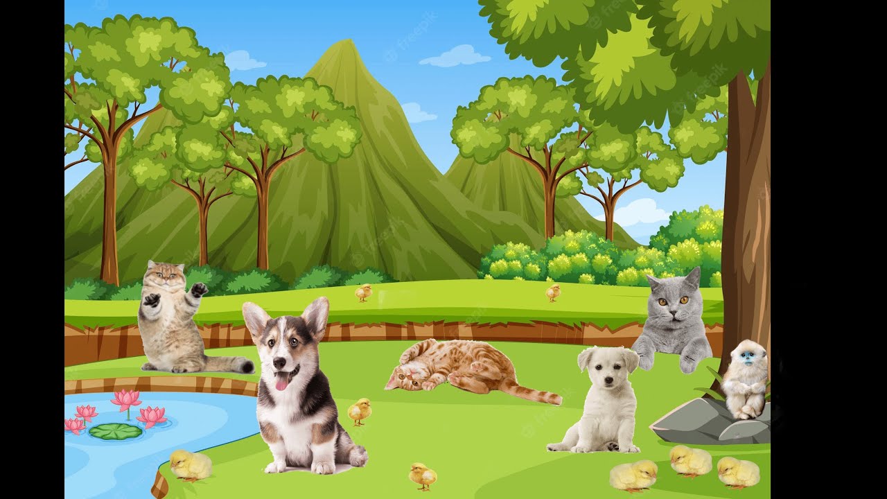 Pretty little animals: cat, chick, dog, monkey - soo cute // Милые ...