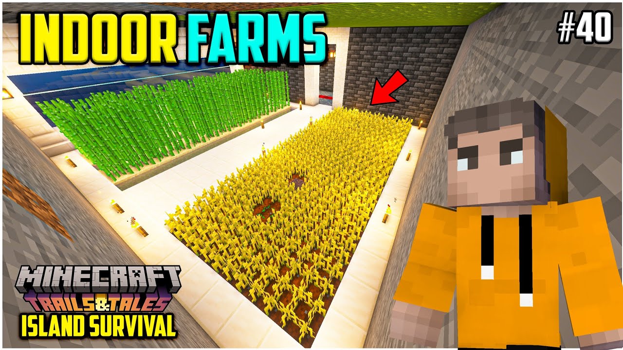 Indoor Farms | Minecraft Island Survival | In Telugu | #40 | THE COSMIC ...