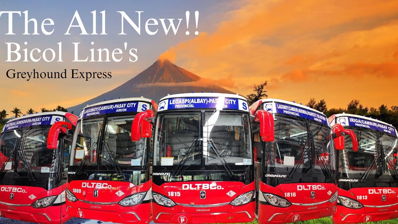 The All New Busses Going South!#dltbco #busdriver - YouTube