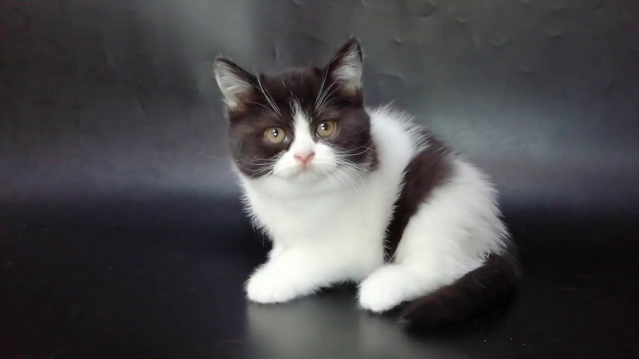 Wendy Haley - mám 57 dní - YouTube