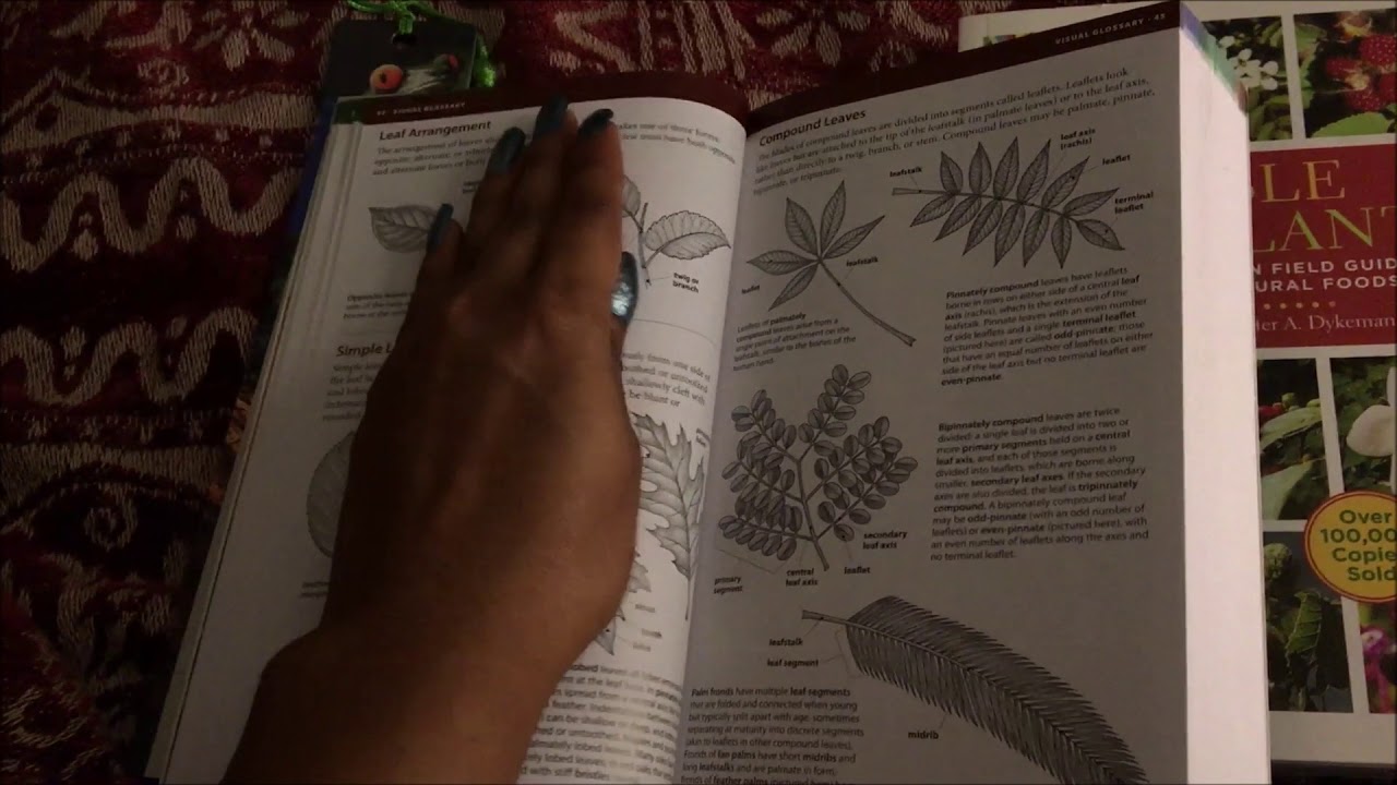 ASMR inaudible reading, page flipping, book tapping, for sleep - YouTube