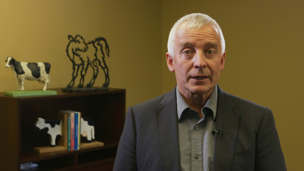 DFC Update by David Wiens - YouTube