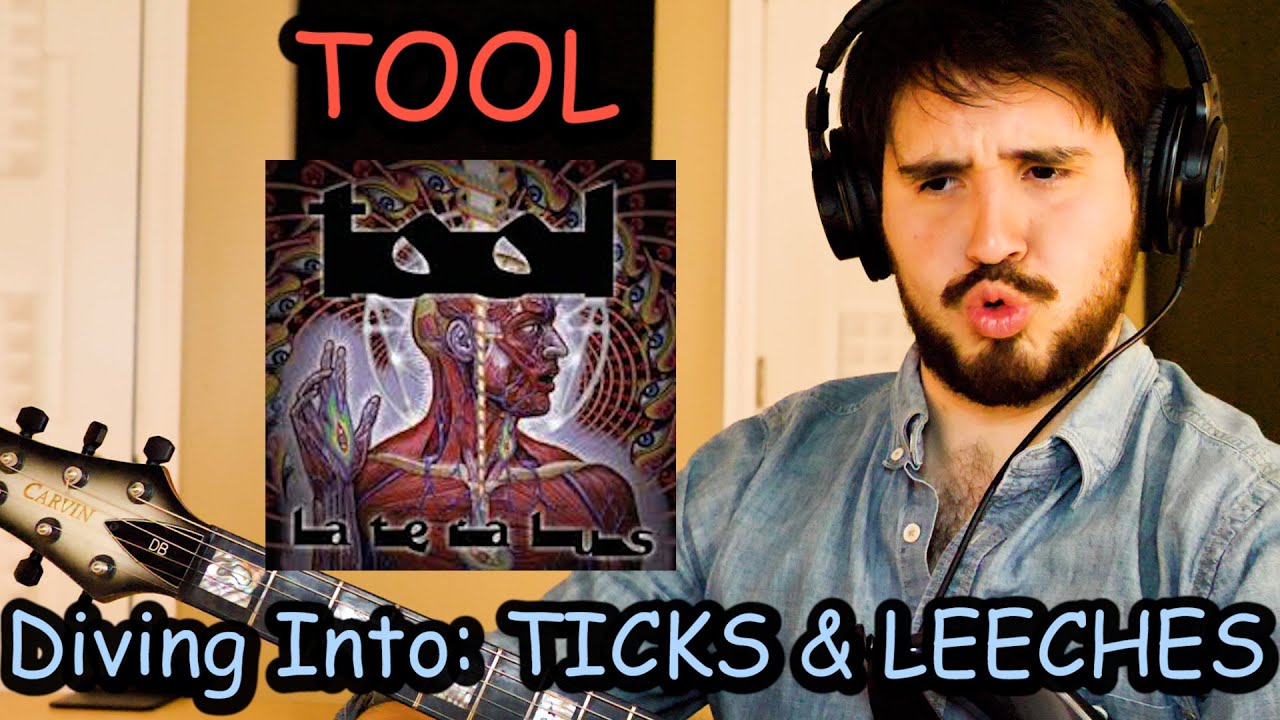 Diving Into: Ticks & Leeches by TOOL - YouTube