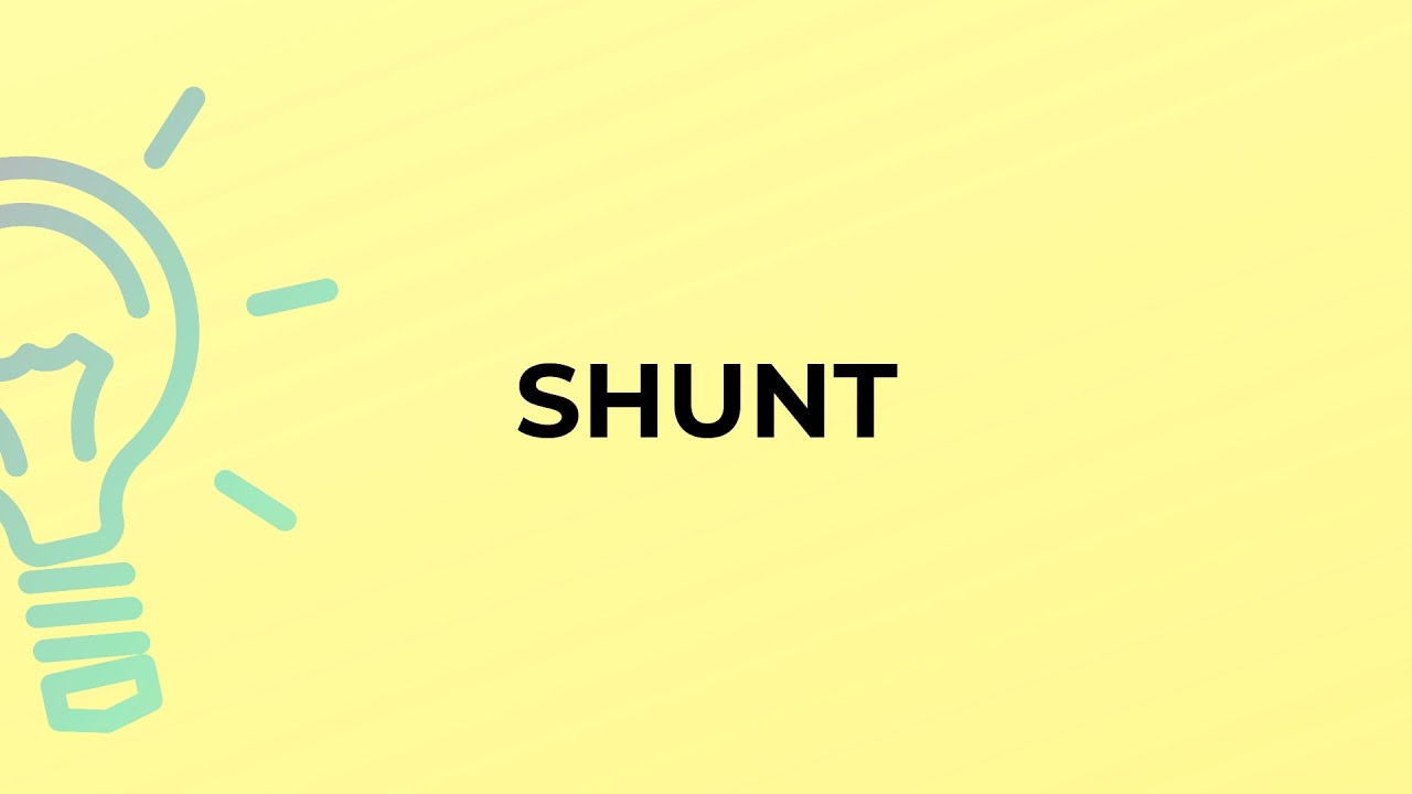 What is the meaning of the word SHUNT? - YouTube